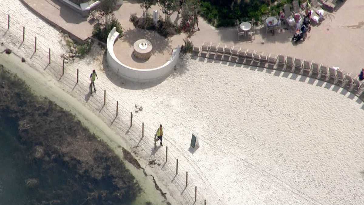 Fence being installed at Disney’s Grand Floridian Resort beach