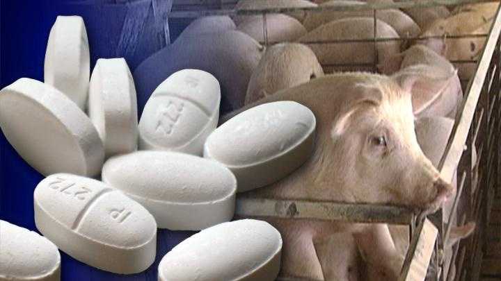 FDA voices concerns over antibiotics in food