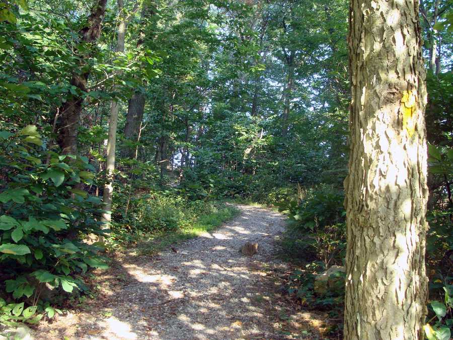 50 Photos: Take a virtual tour of Samuel S. Lewis State Park