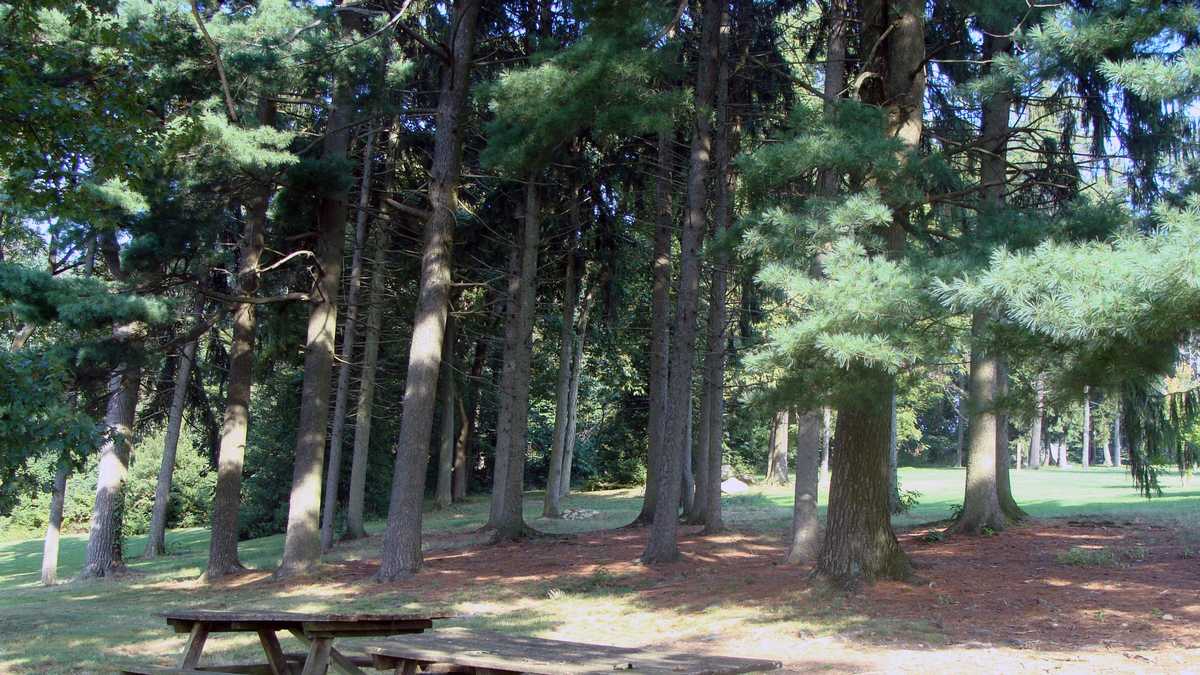 50 Photos: Take a virtual tour of Samuel S. Lewis State Park