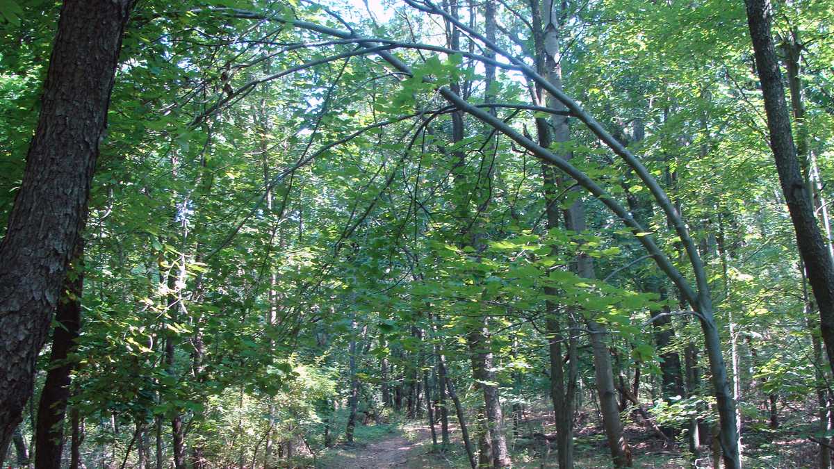 50 Photos: Take a virtual tour of Samuel S. Lewis State Park