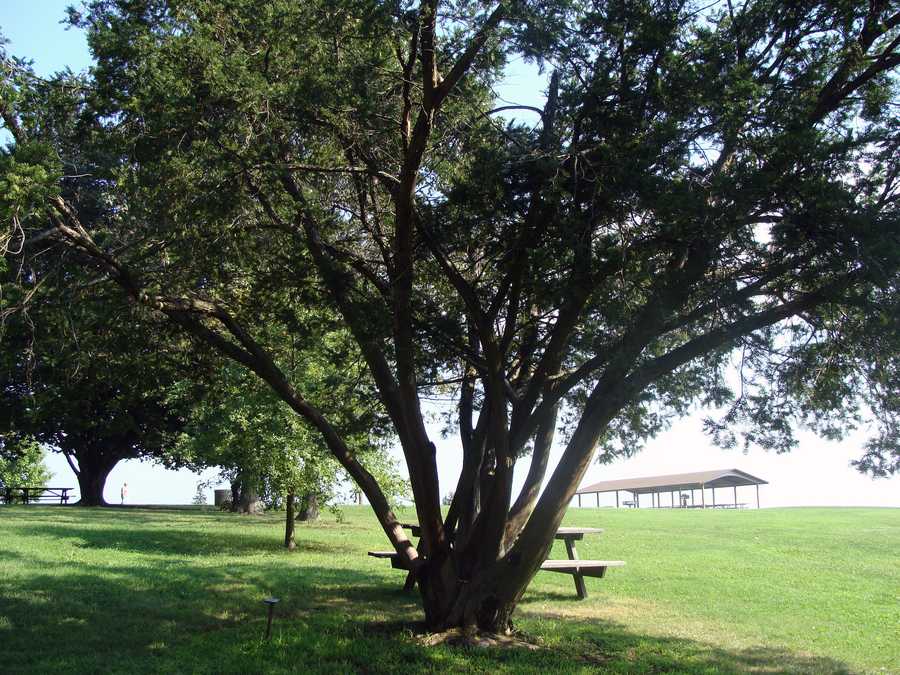 50 Photos: Take a virtual tour of Samuel S. Lewis State Park