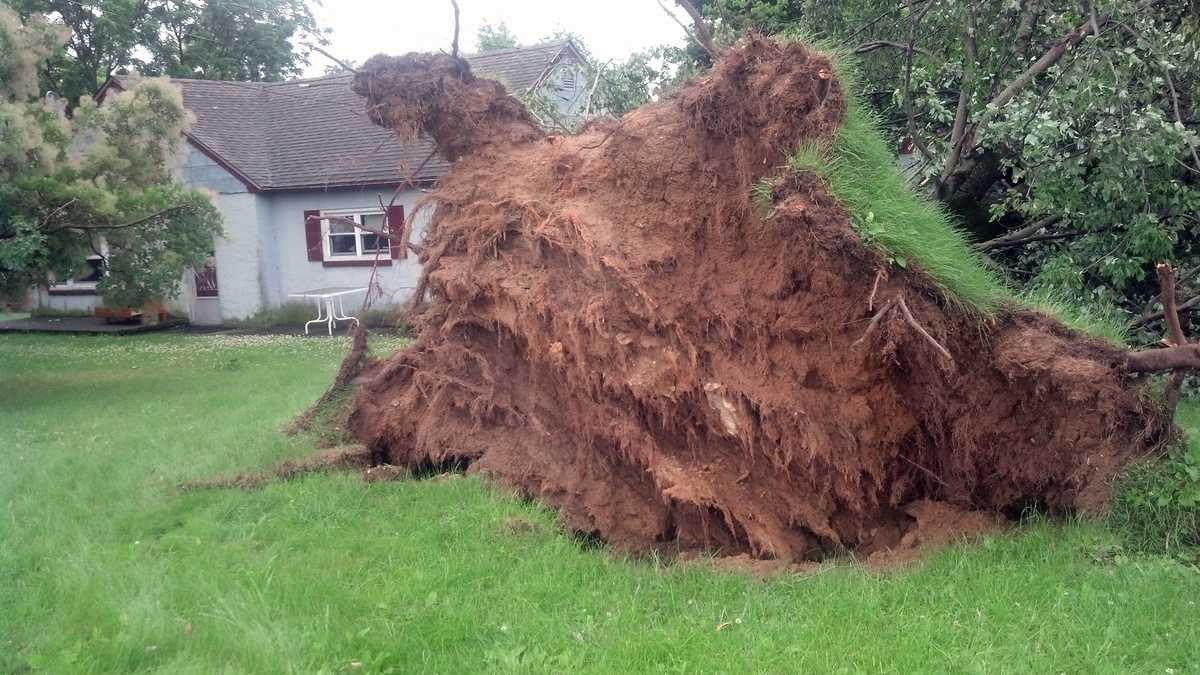 Microburst causes damage Monday in Lancaster County