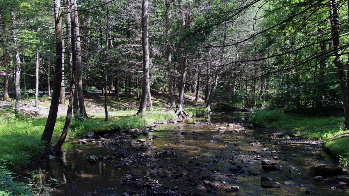 Take virtual tour of Colonel Denning State Park