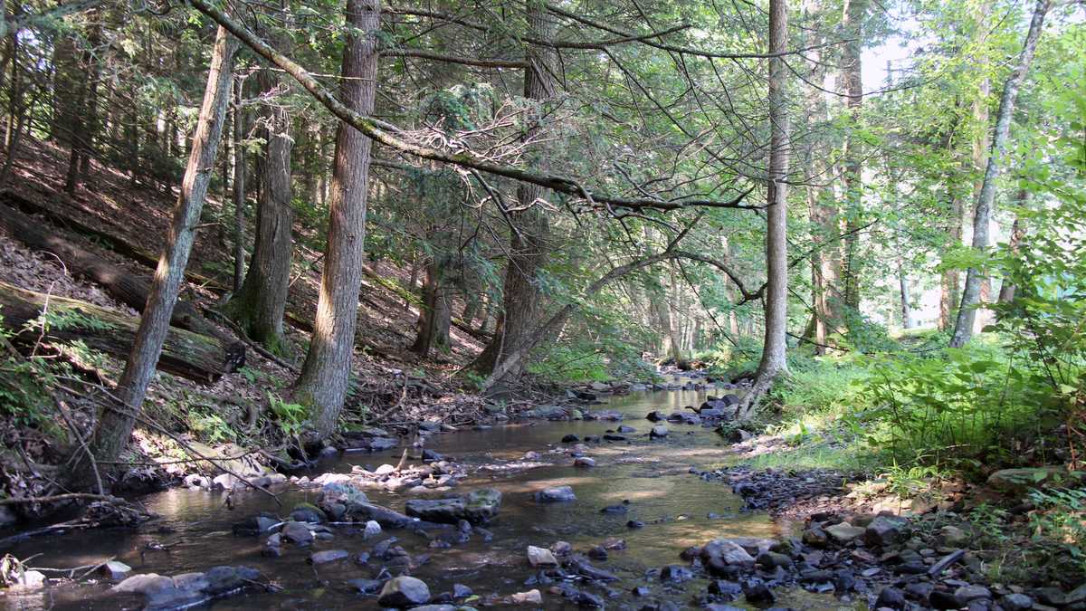 Take virtual tour of Colonel Denning State Park