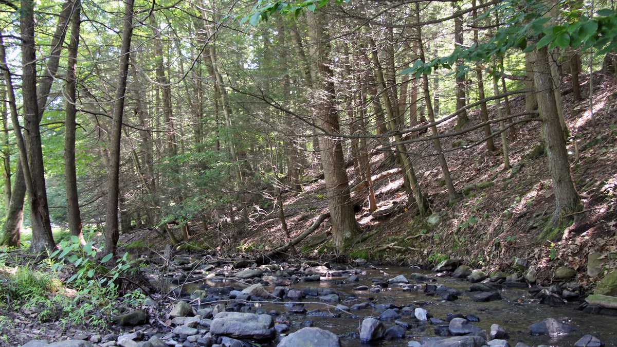 Take virtual tour of Colonel Denning State Park