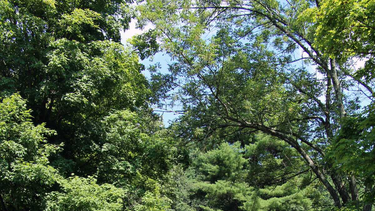 Take virtual tour of Colonel Denning State Park