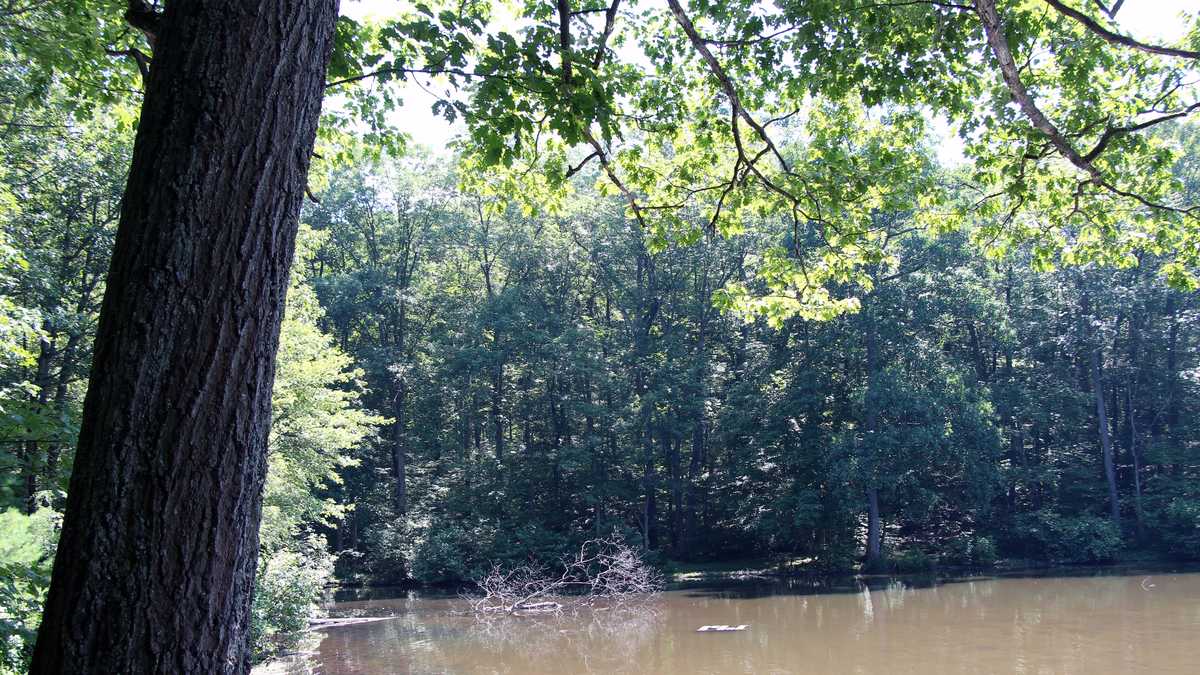 Take virtual tour of Colonel Denning State Park