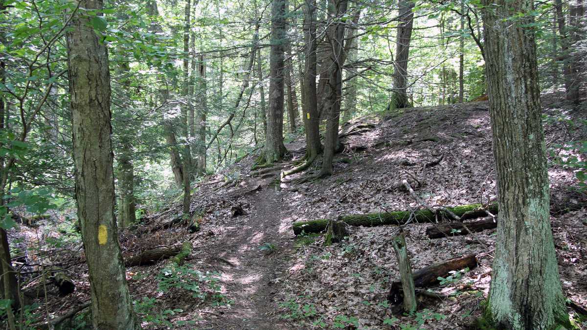 Take virtual tour of Colonel Denning State Park