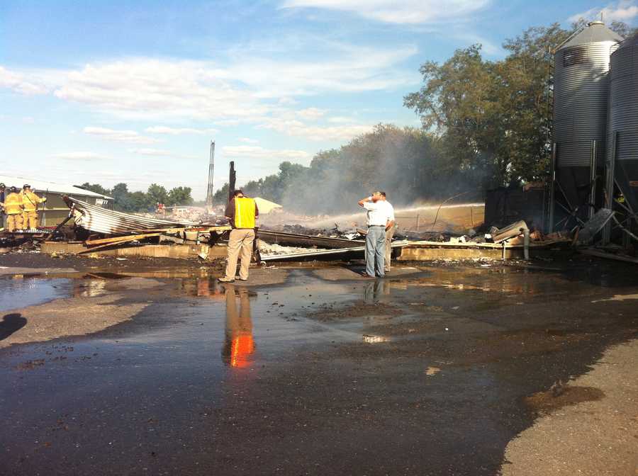 Chicken barn fire