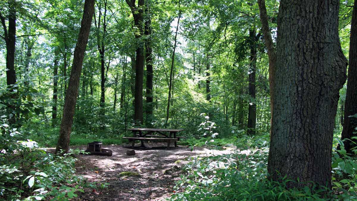 50 photos: Take virtual tour of French Creek State Park