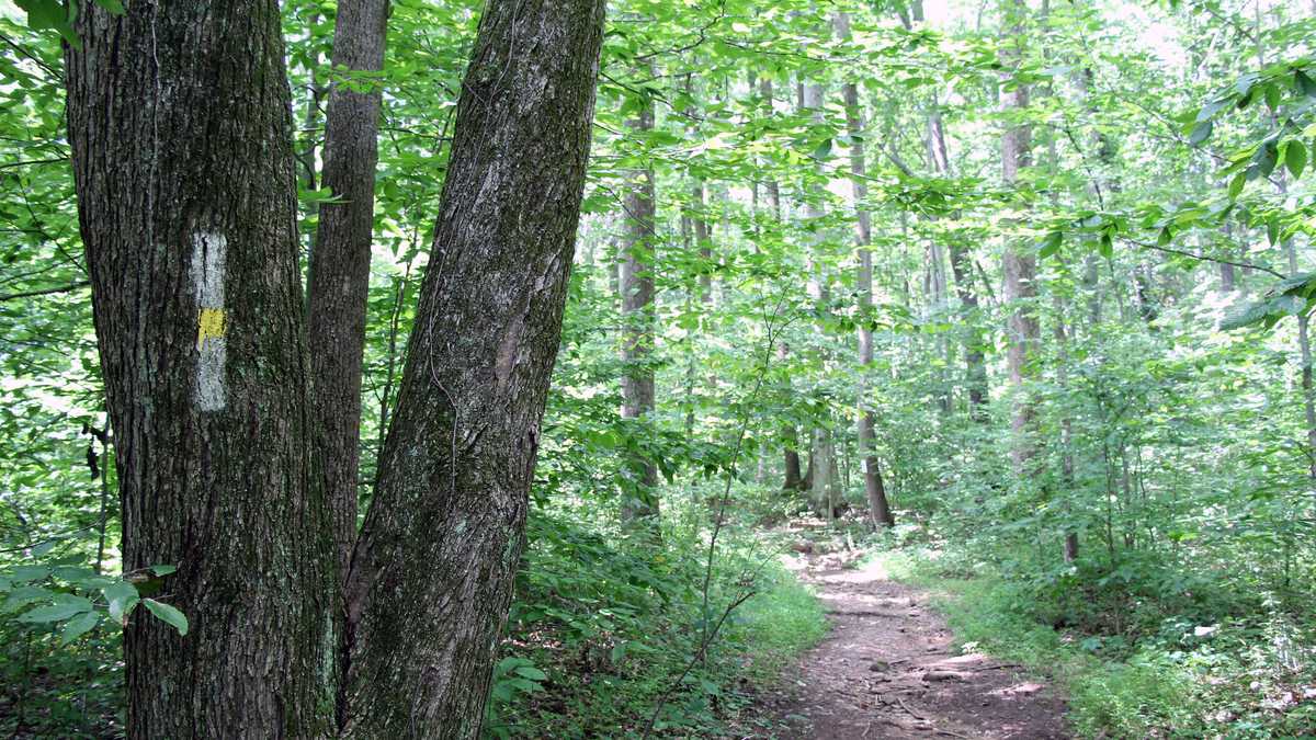50 photos: Take virtual tour of French Creek State Park