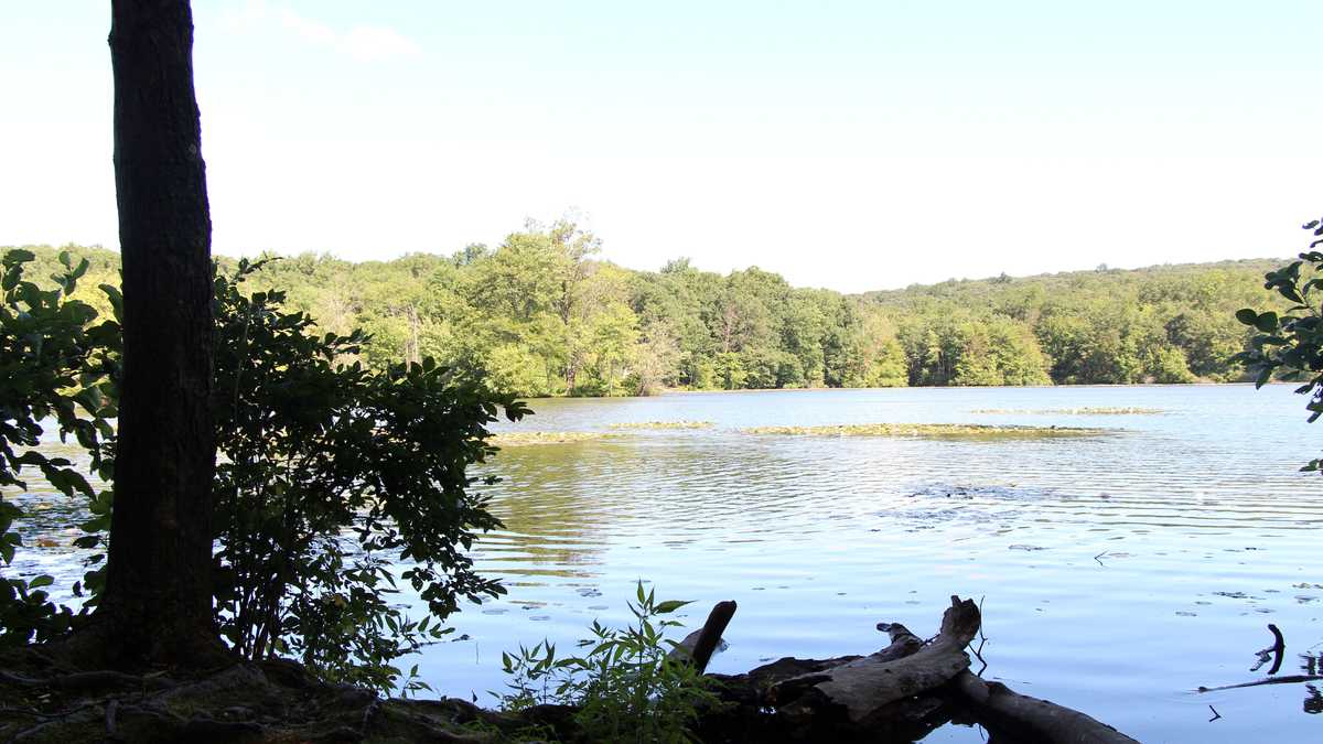 50 photos: Take virtual tour of French Creek State Park