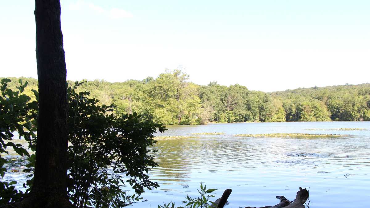 Boat, fish at French Creek State Park