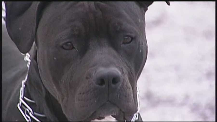 Pa. dog wardens prompting rise in licenses, fines