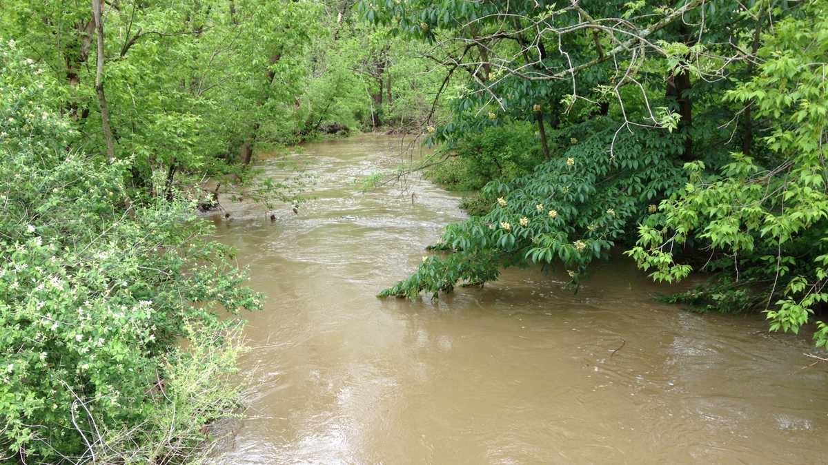 News 8 crews flooding photos