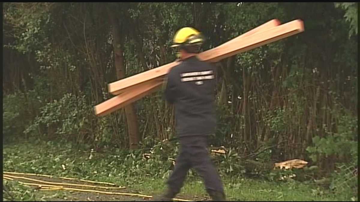 Photos: Fallen tree traps woman in home