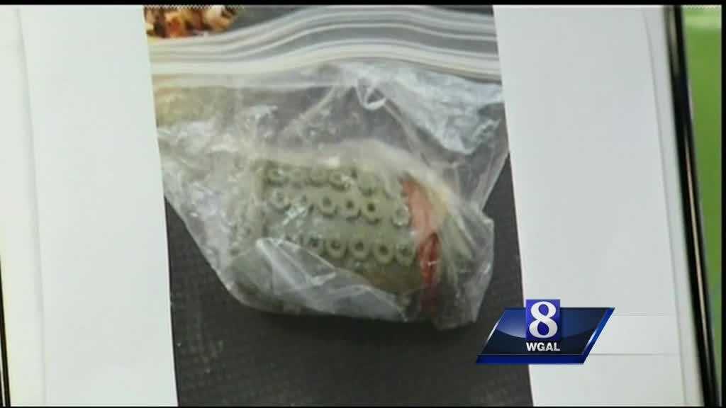 Photos of Eric Frein's capture