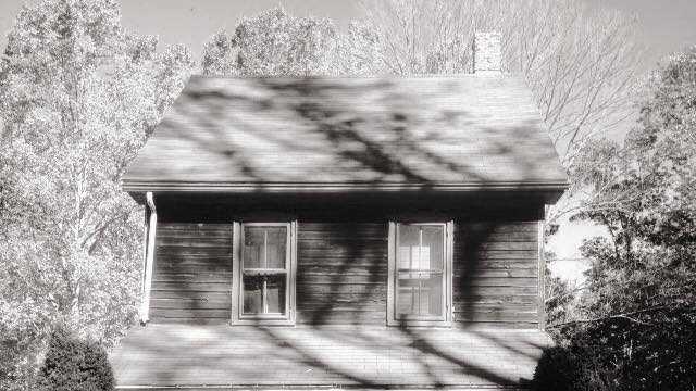 Photos: Enter Rehmeyer's Hollow - if you dare!