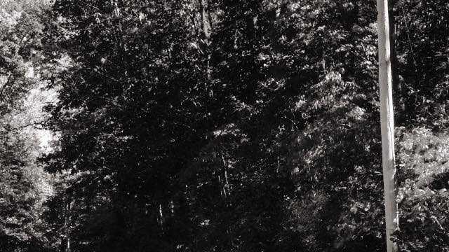 Photos: Enter Rehmeyer's Hollow - if you dare!