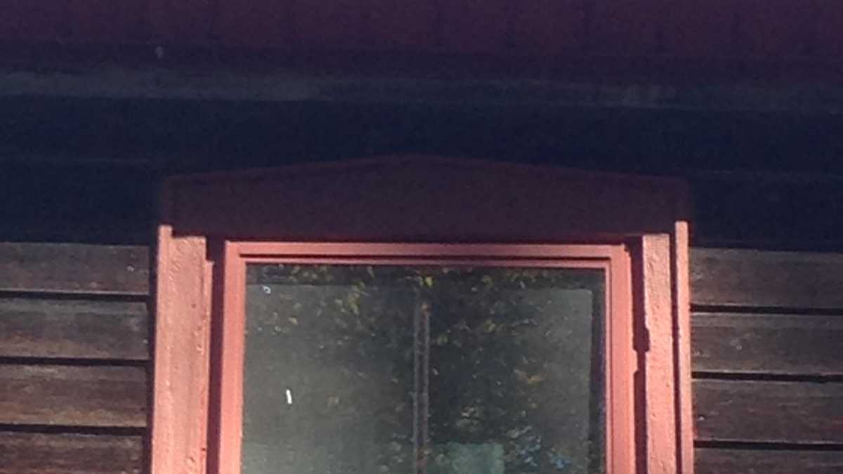 Photos: Enter Rehmeyer's Hollow - if you dare!