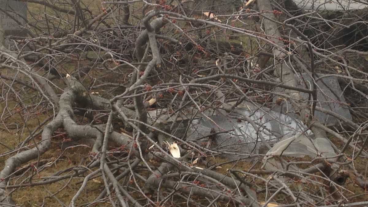 PHOTOS: Tombstones overturned, trees uprooted at historic cemetery