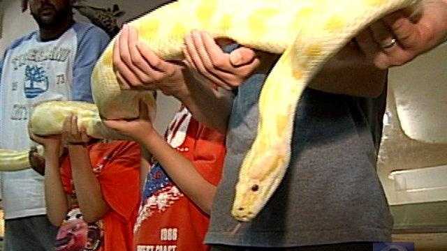 Feds evaluate threat of 'Giant Constrictors' in US