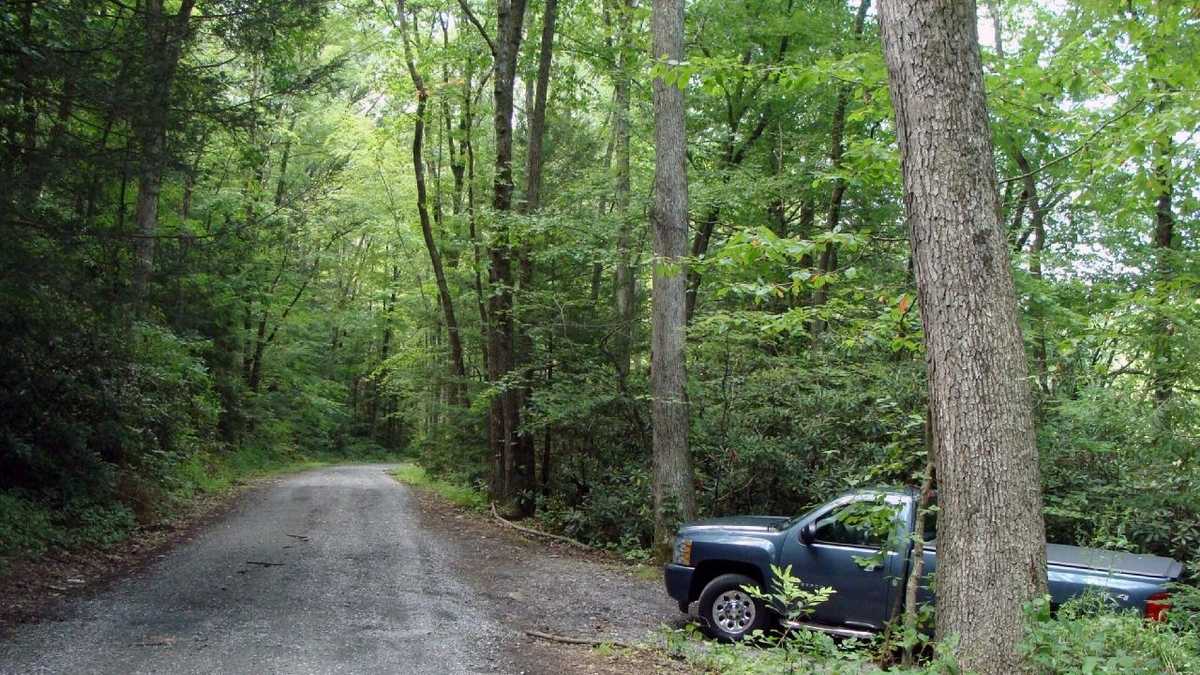 50 Photos: Take virtual tour of Swatara State Park