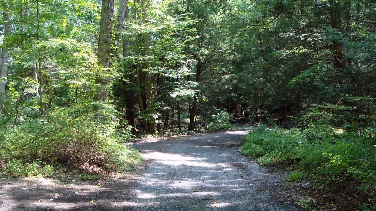 50 Photos: Take virtual tour of Swatara State Park