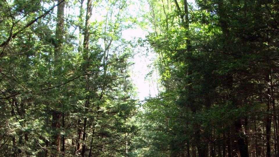 50 Photos: Take virtual tour of Swatara State Park