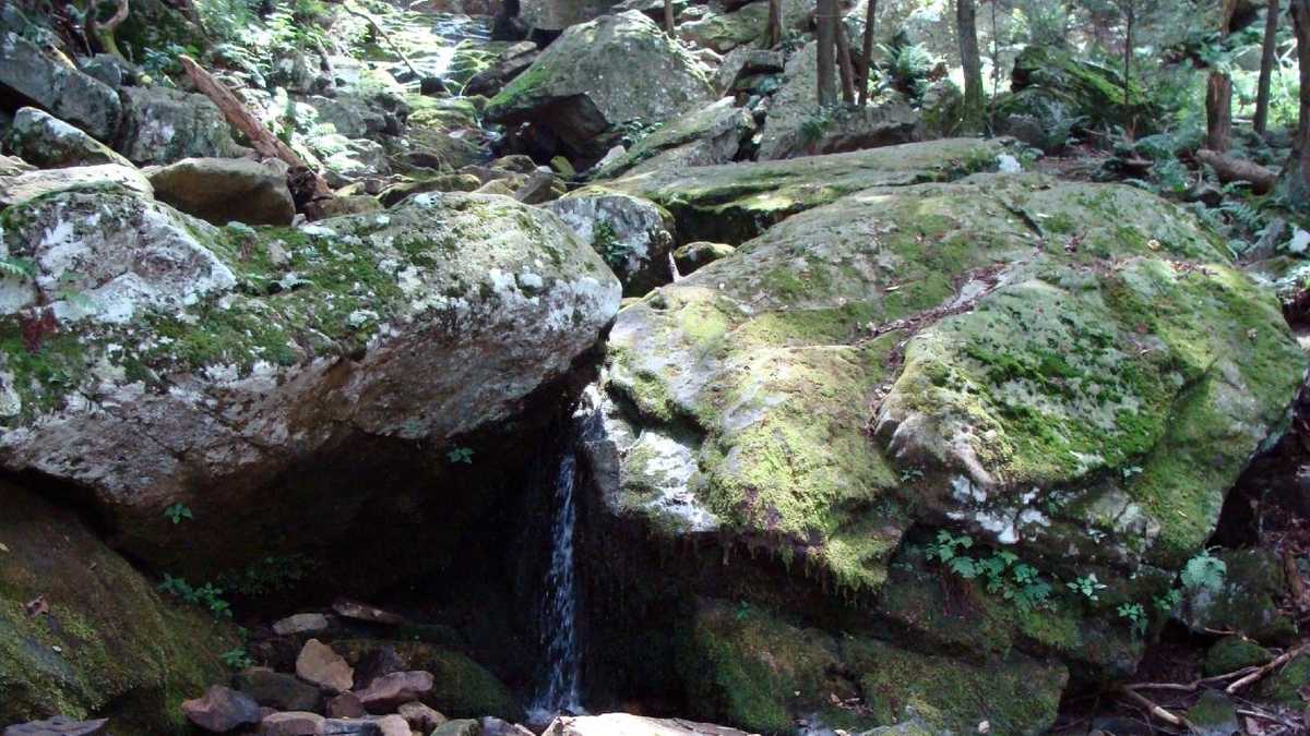 50 Photos: Take virtual tour of Swatara State Park