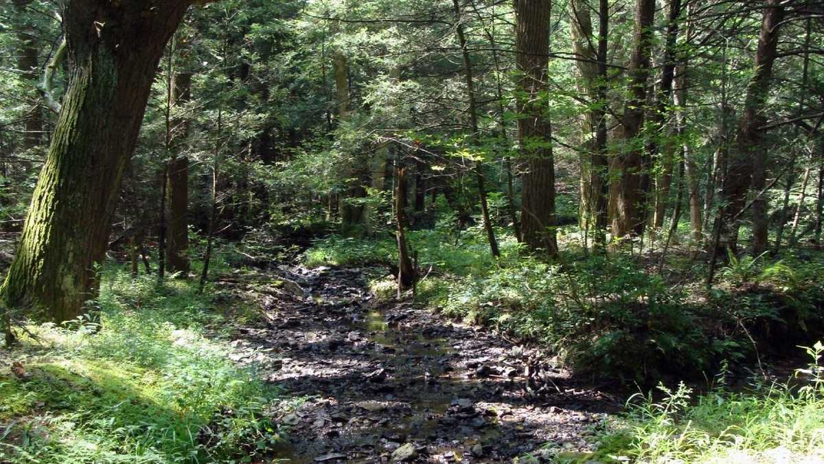 50 Photos: Take virtual tour of Swatara State Park