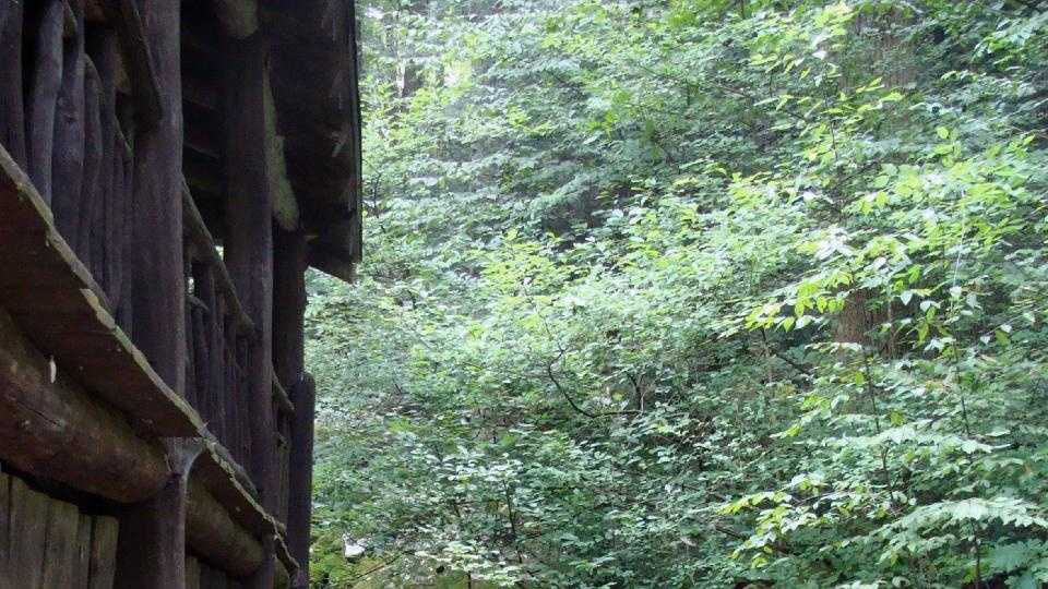 50 Photos: Take virtual tour of Swatara State Park