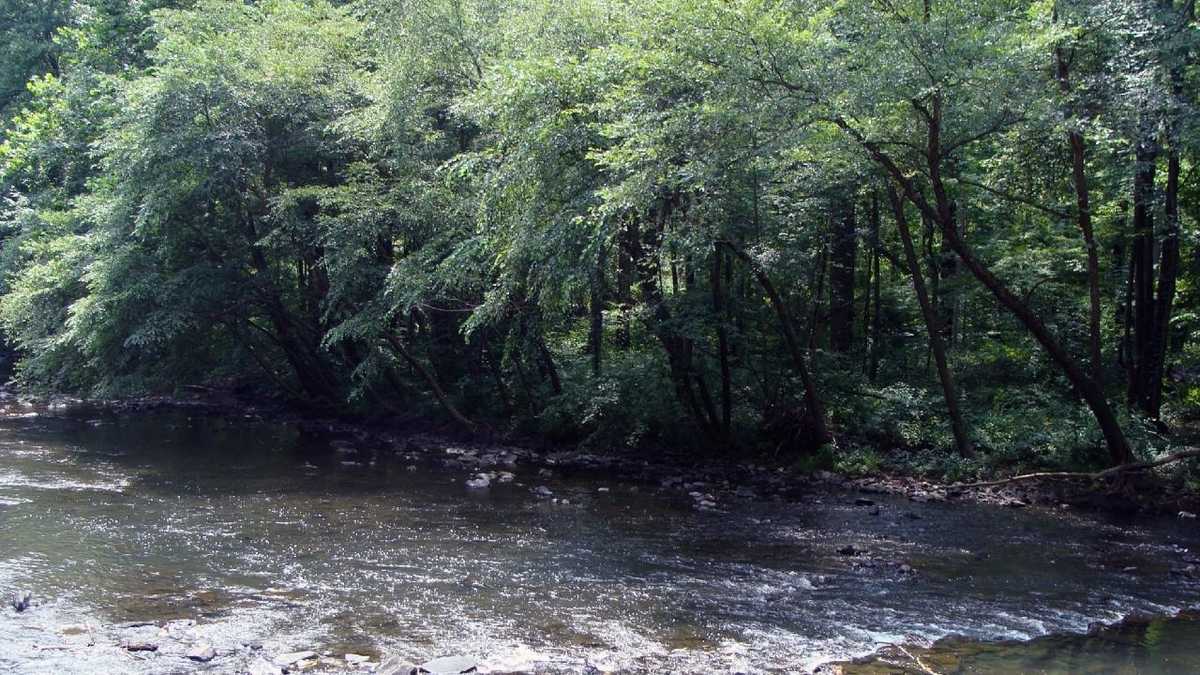 50 Photos: Take virtual tour of Swatara State Park