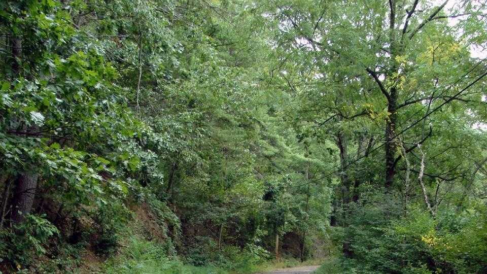 50 Photos: Take virtual tour of Swatara State Park