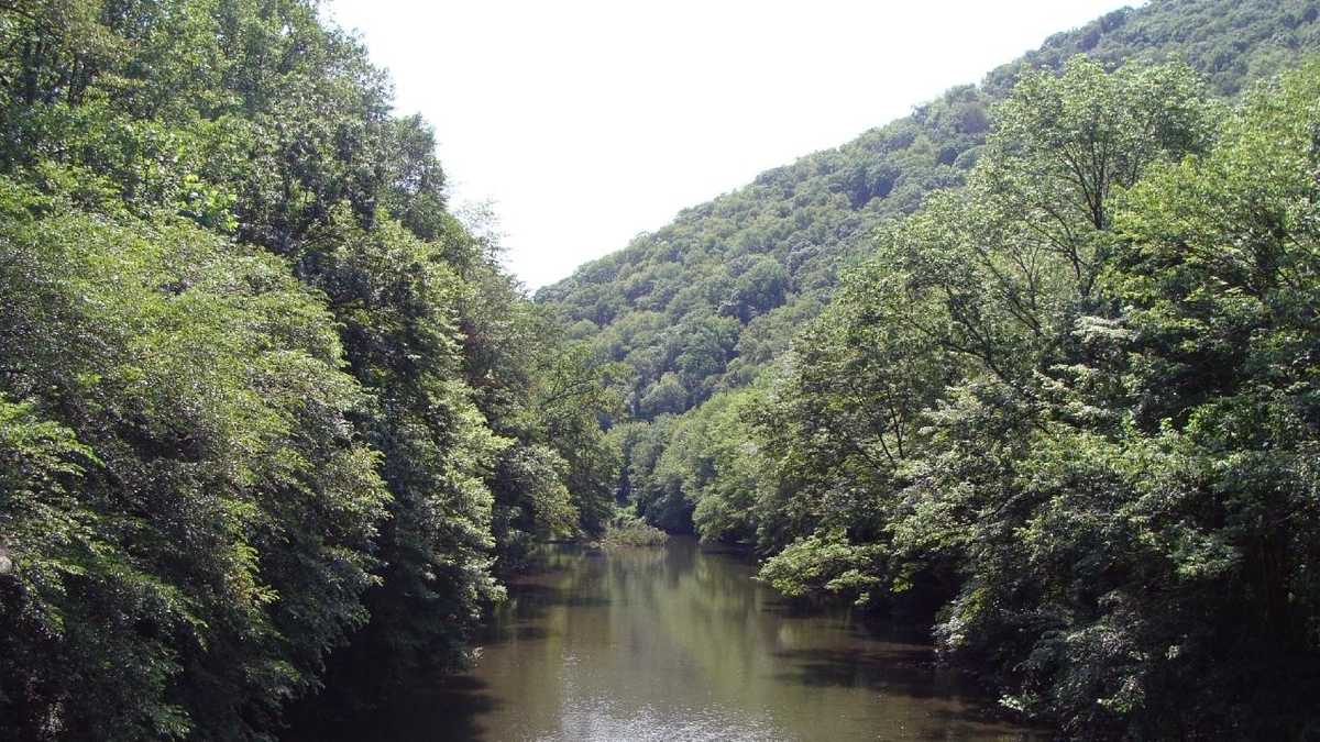 50 Photos: Take virtual tour of Swatara State Park