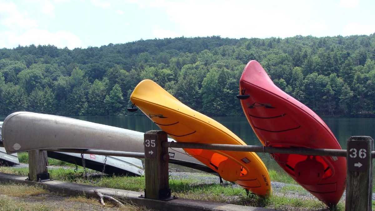 Boat, fish at Holman Lake