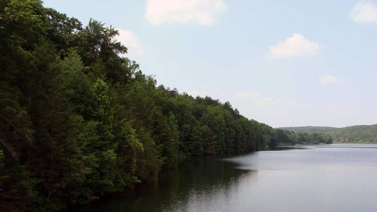 Boat, fish at Holman Lake