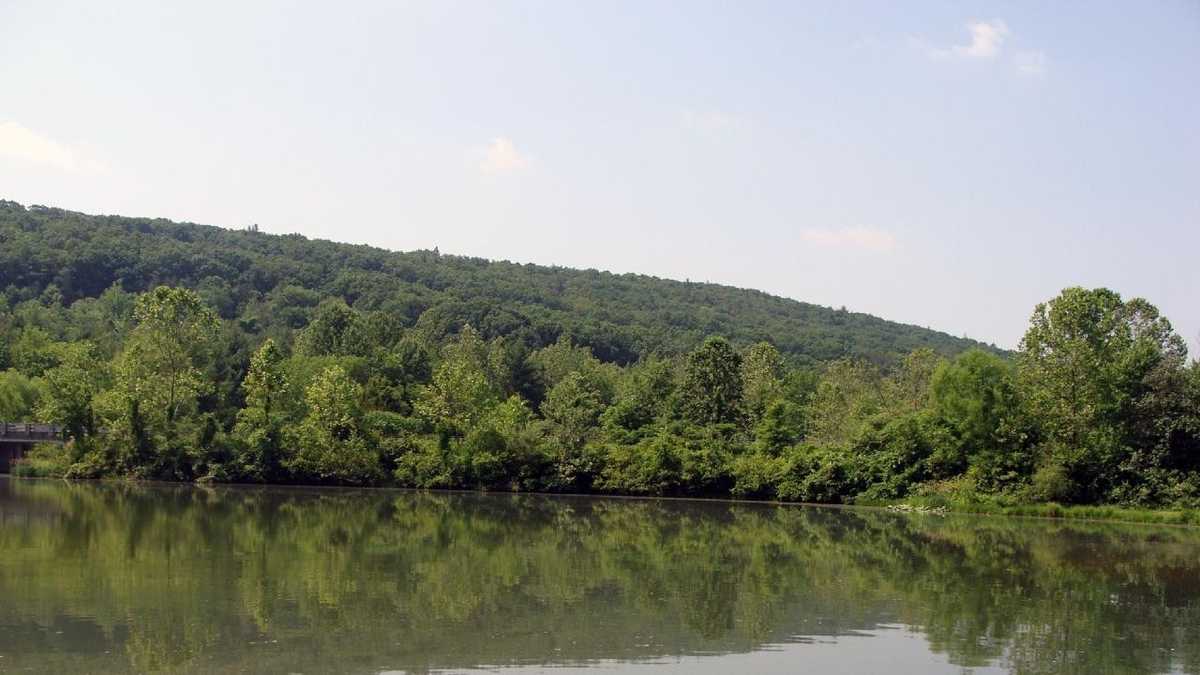Boat, fish at Holman Lake