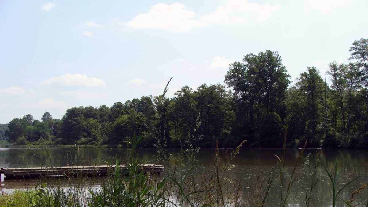 Boat, fish at Holman Lake