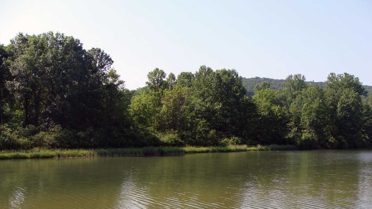Boat, fish at Holman Lake