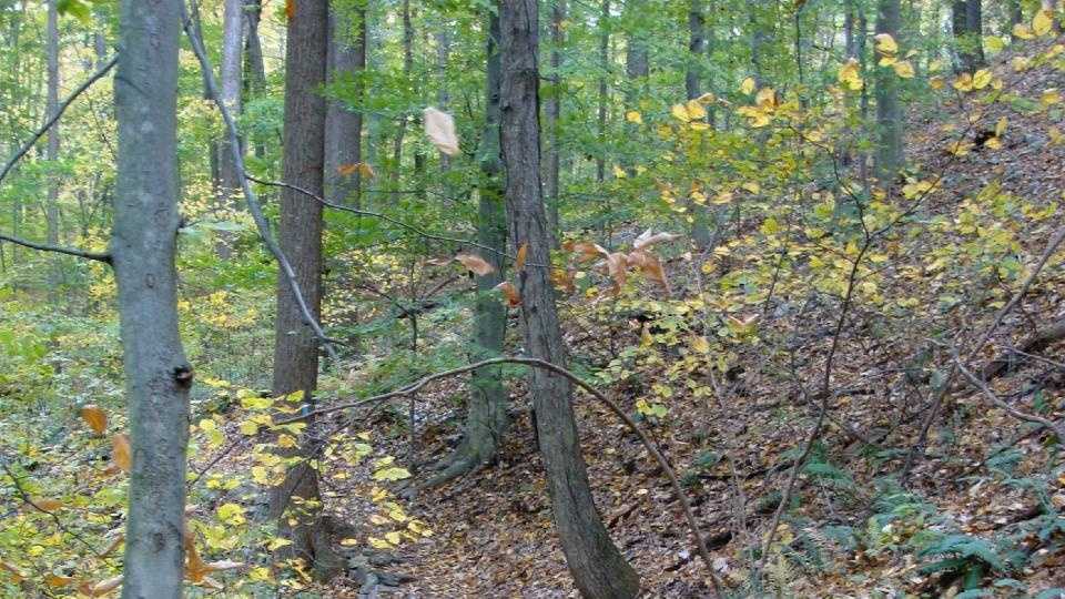 Take fall tour of one of Pa.'s newest state parks