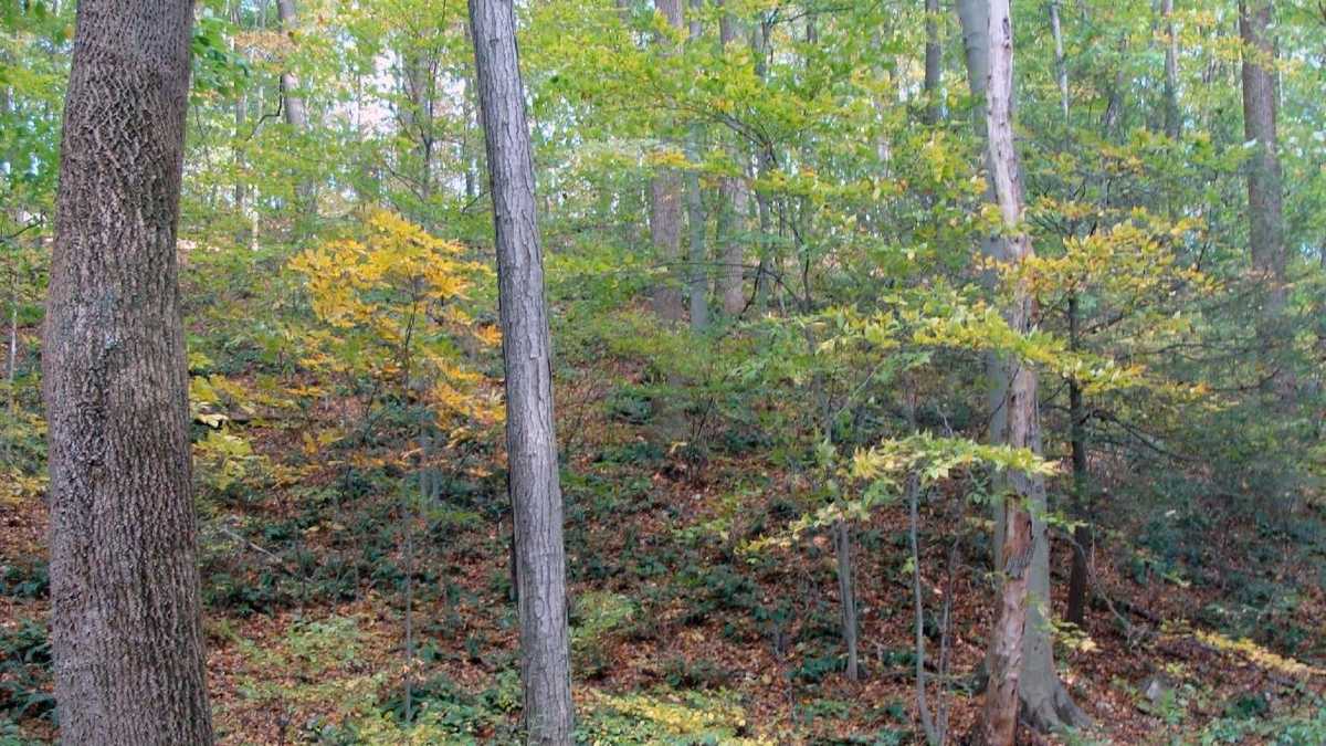 Take fall tour of one of Pa.'s newest state parks