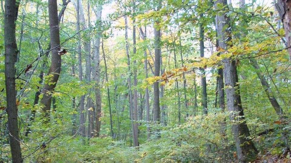 Take fall tour of one of Pa.'s newest state parks