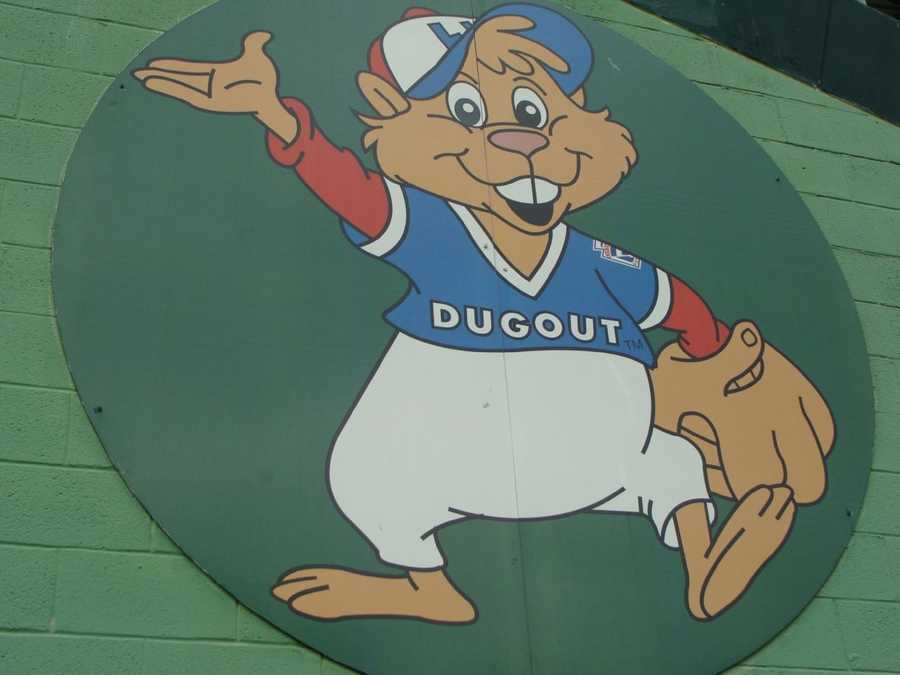 Small wonder -- Get to know the Little League World Series