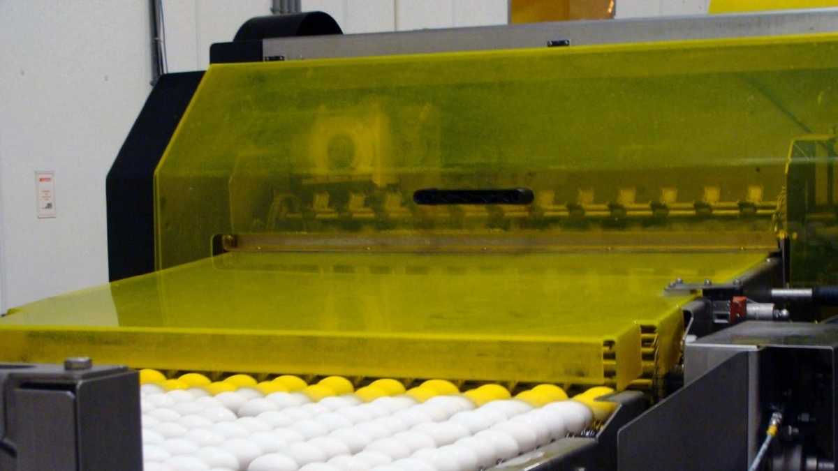 50 Photos: Tour egg processing plant in Lancaster County