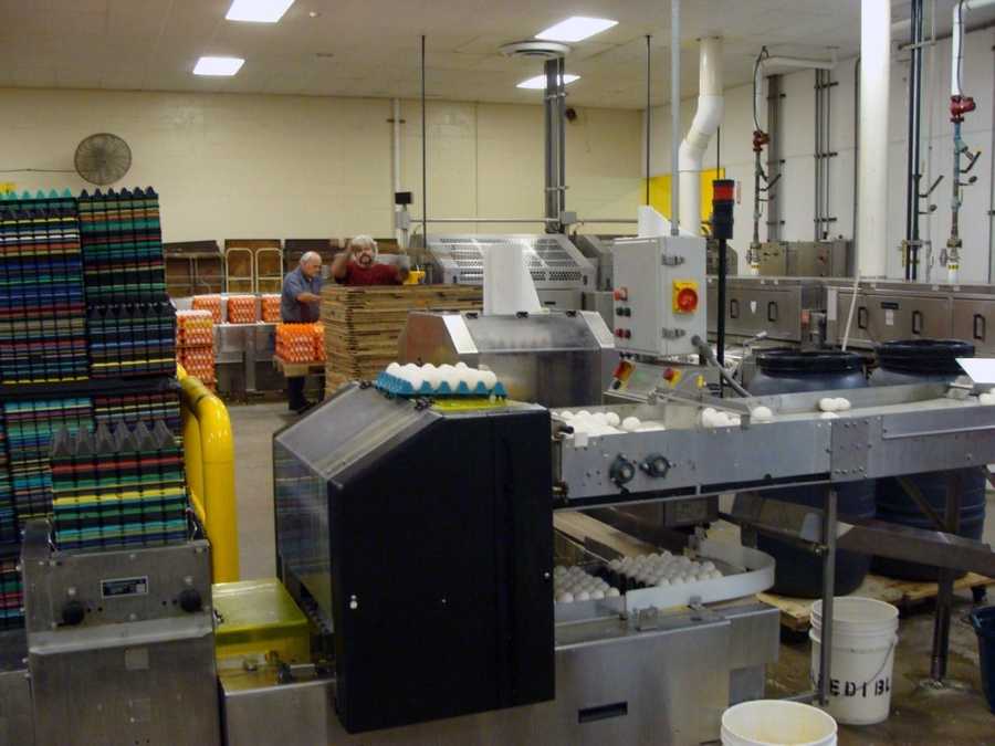 50 Photos: Tour egg processing plant in Lancaster County