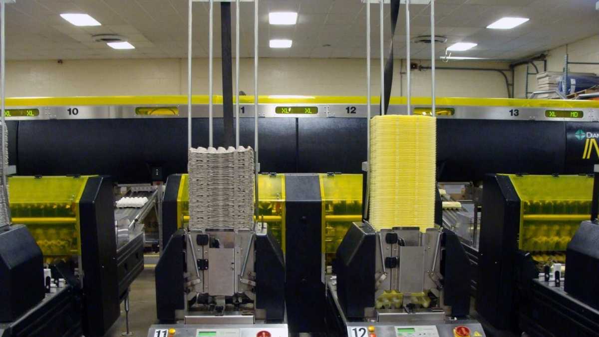 50 Photos: Tour egg processing plant in Lancaster County