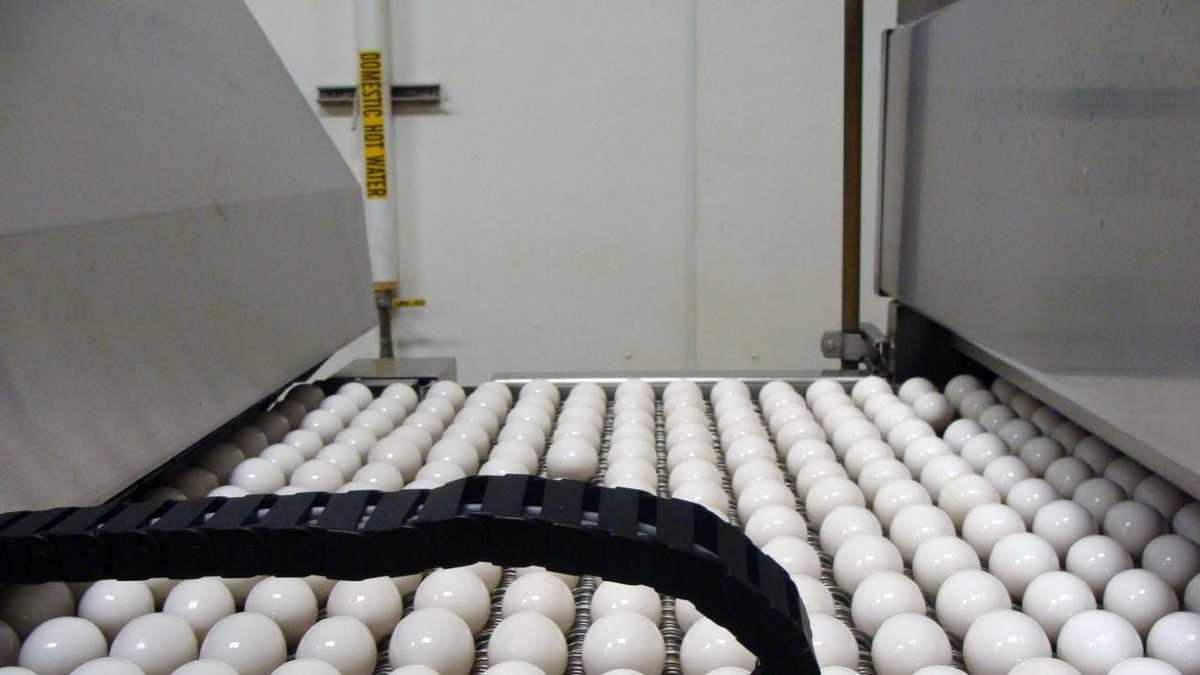 50 Photos: Tour egg processing plant in Lancaster County