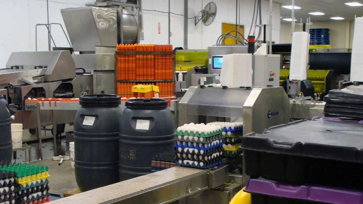 50 Photos: Tour egg processing plant in Lancaster County